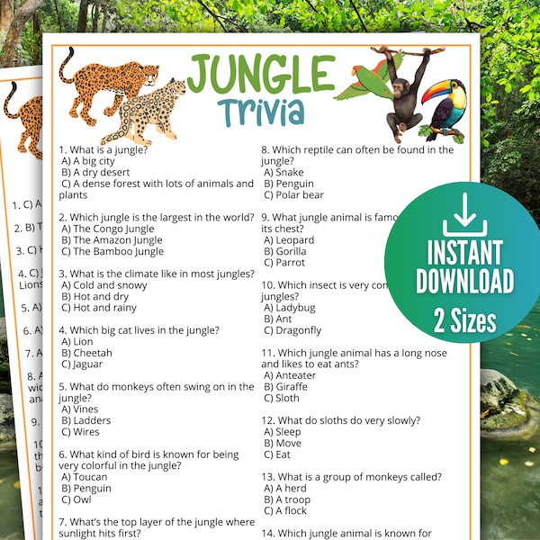 Jungle Rain Forest - Etsy
