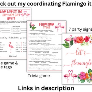 What's Your Flamingo Name Game WITH NAMETAGS + SIGN, Flamingo Baby ...