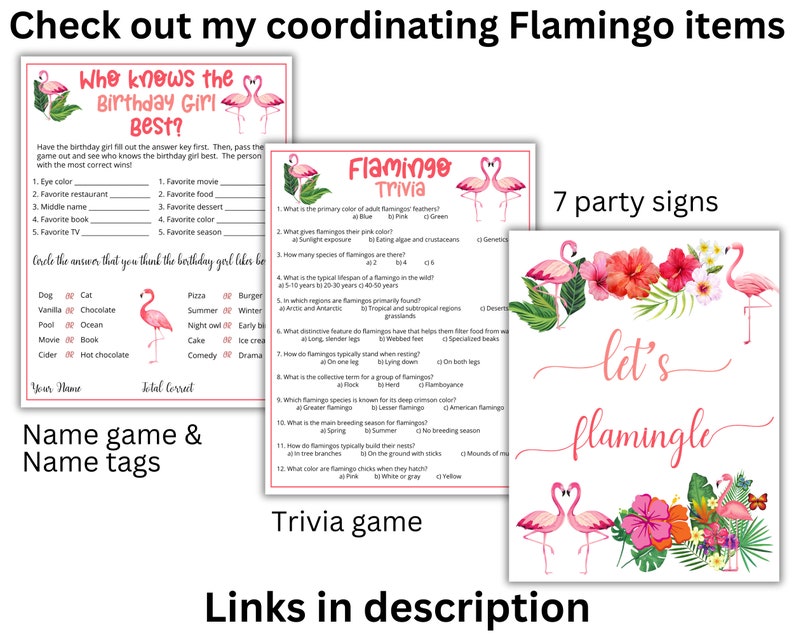 What's Your Flamingo Name Game WITH NAMETAGS + SIGN, Flamingo Baby ...