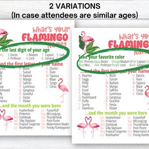 What's Your Flamingo Name Game WITH NAMETAGS + SIGN, Flamingo Baby ...