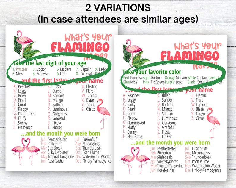 What's Your Flamingo Name Game WITH NAMETAGS + SIGN, Flamingo Baby ...