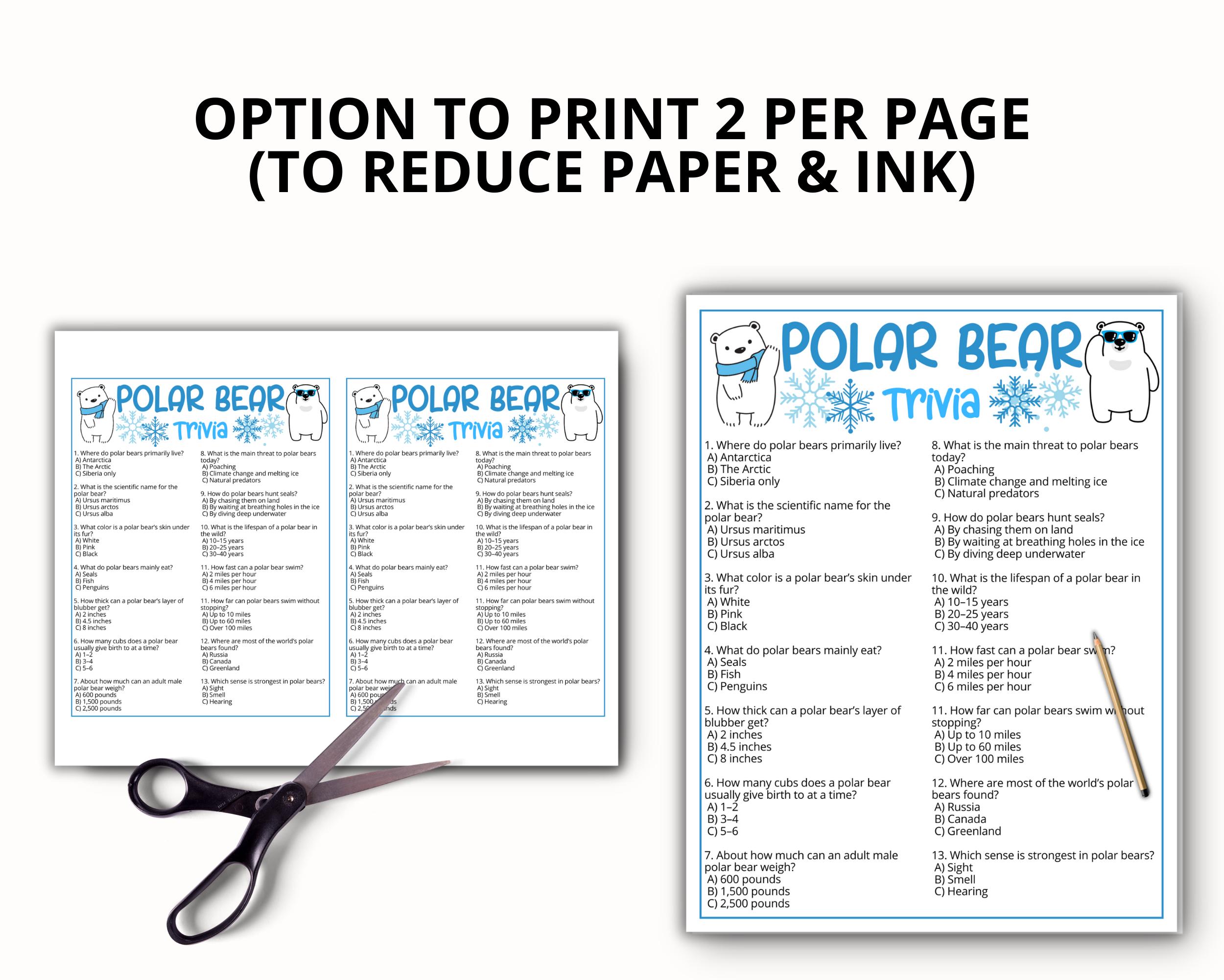 Polar Bear Trivia Game,printable Winter Game for Kids & Adults,polar ...