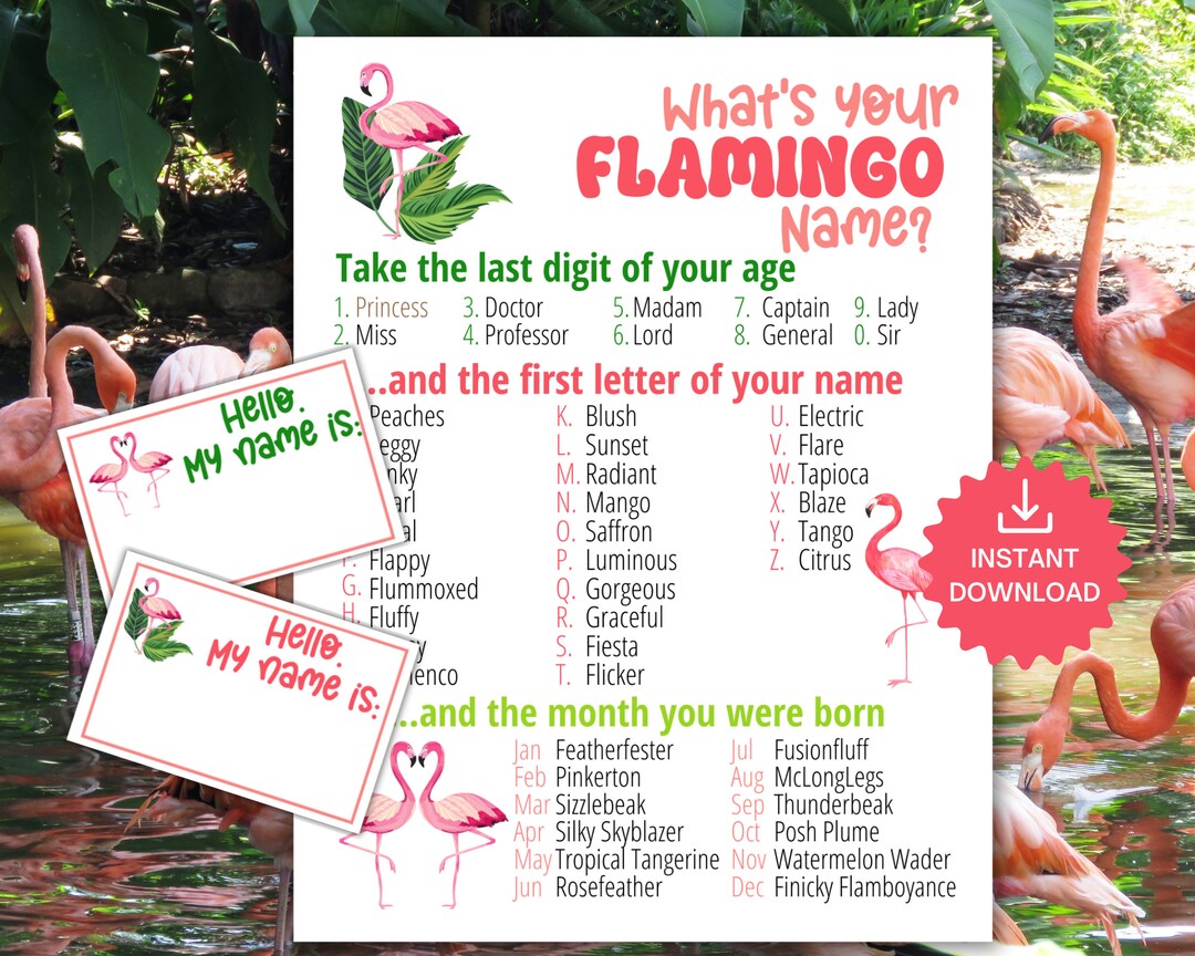What's Your Flamingo Name Game WITH NAMETAGS + SIGN, Flamingo Baby ...