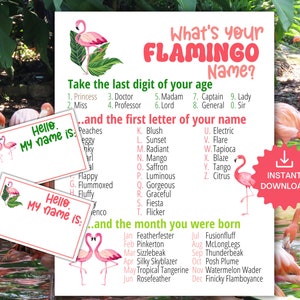 What's Your Flamingo Name Game WITH NAMETAGS + SIGN, Flamingo Baby ...