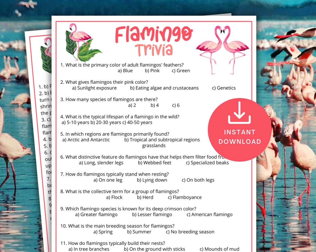 Flamingo Trivia Game, Printable Flamingo Game for Kids & Adults ...