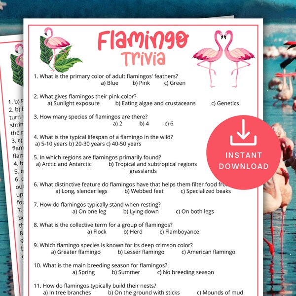 Flamingo Classroom - Etsy