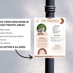 Editable Pet Profile CANVA Template, Cat Adoption Marketing Flyer ...