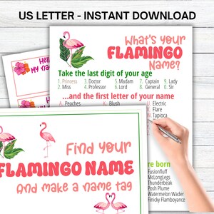 What's Your Flamingo Name Game WITH NAMETAGS + SIGN, Flamingo Baby ...