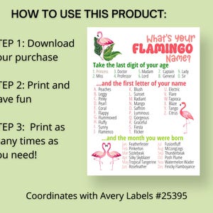 What's Your Flamingo Name Game WITH NAMETAGS + SIGN, Flamingo Baby ...
