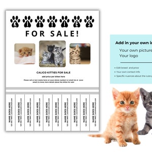 Editable Kitten Marketing Flyer, Cat Adoption Kitty Tear off Flyer ...