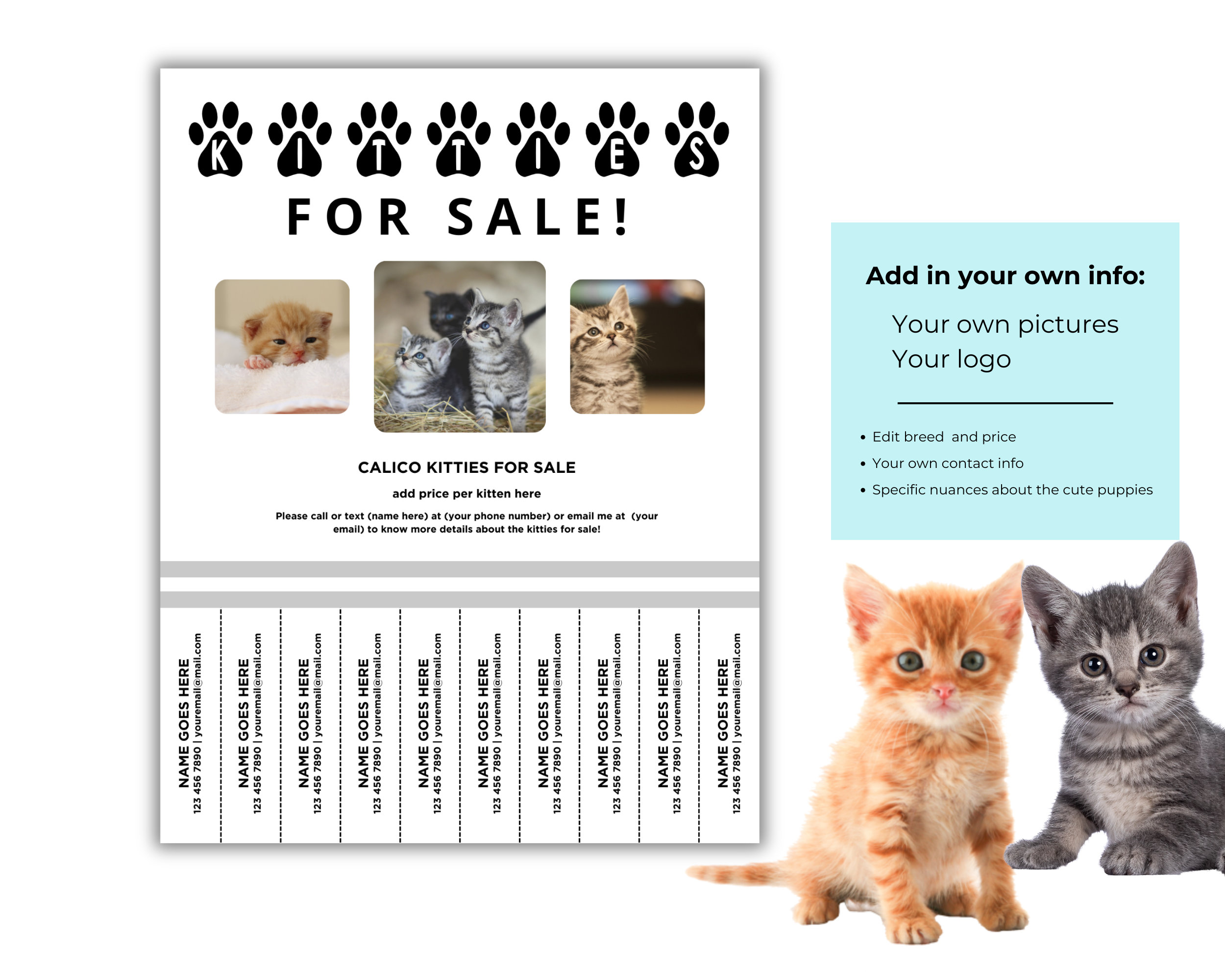 Editable Kitten Marketing Flyer, Cat Adoption Kitty Tear off Flyer ...