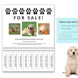 Editable Puppy Marketing Flyer, Dog Adoption Puppy Tear off Flyer ...