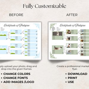 Editable Cat Pedigree Charts, Kitten Certificate of Pedigree,cat ...