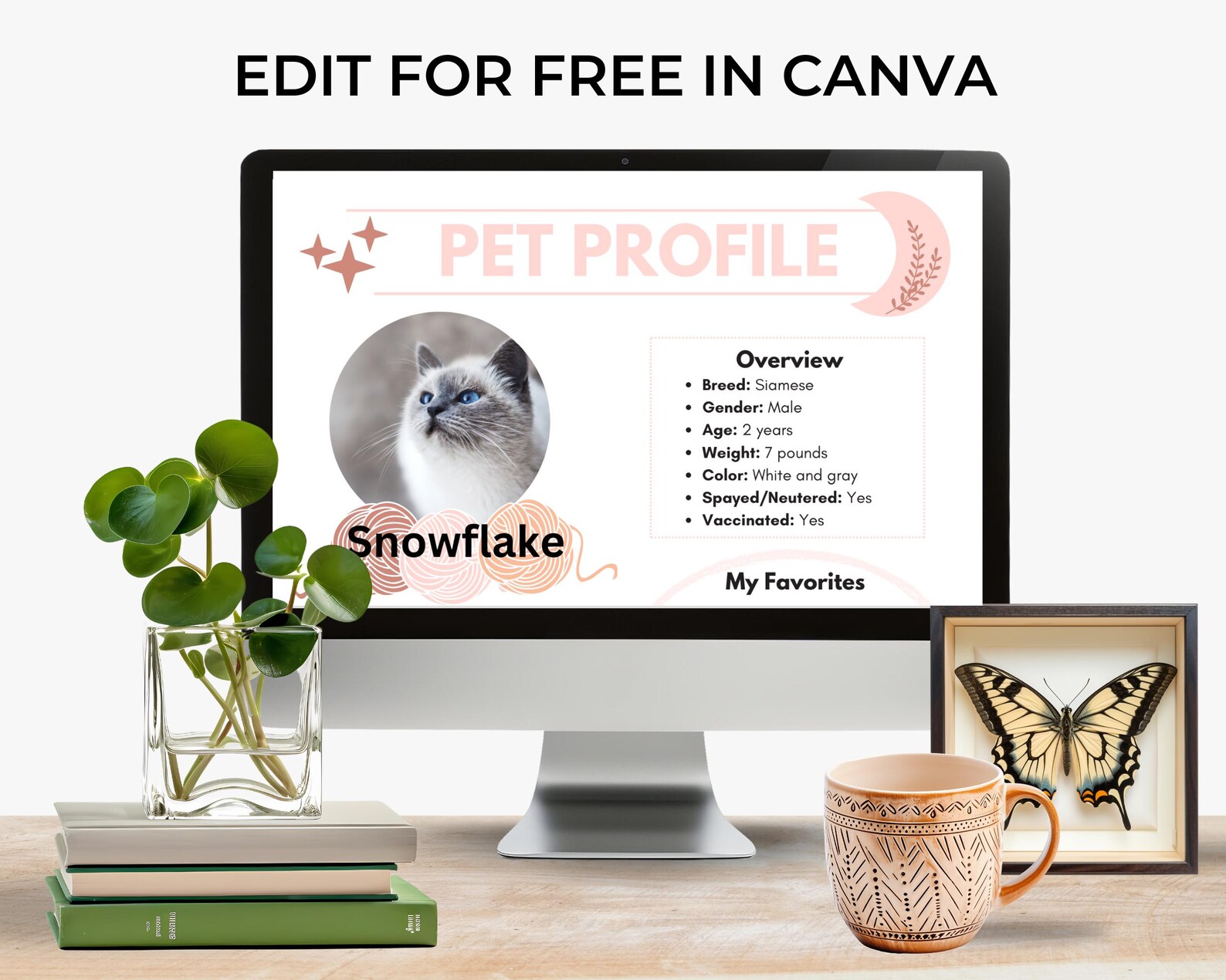 Editable Pet Profile CANVA Template, Cat Adoption Marketing Flyer ...