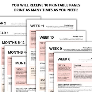 Dog Training Cheat Sheets, Best Selling Dog Training Handbook,puppy ...