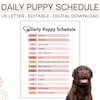 Dog's Daily Planner With Template | Puppy Schedule | Printable PDF ...