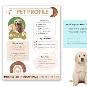 Editable Pet Profile CANVA Template, Dog Adoption Marketing Flyer ...