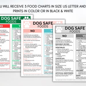 Dog Safe Food List, Safe & Unsafe Food Chart for Puppies and Dogs ...