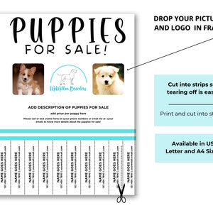 Editable Puppy Marketing Flyer, Dog Adoption Puppy Tear off Flyer ...