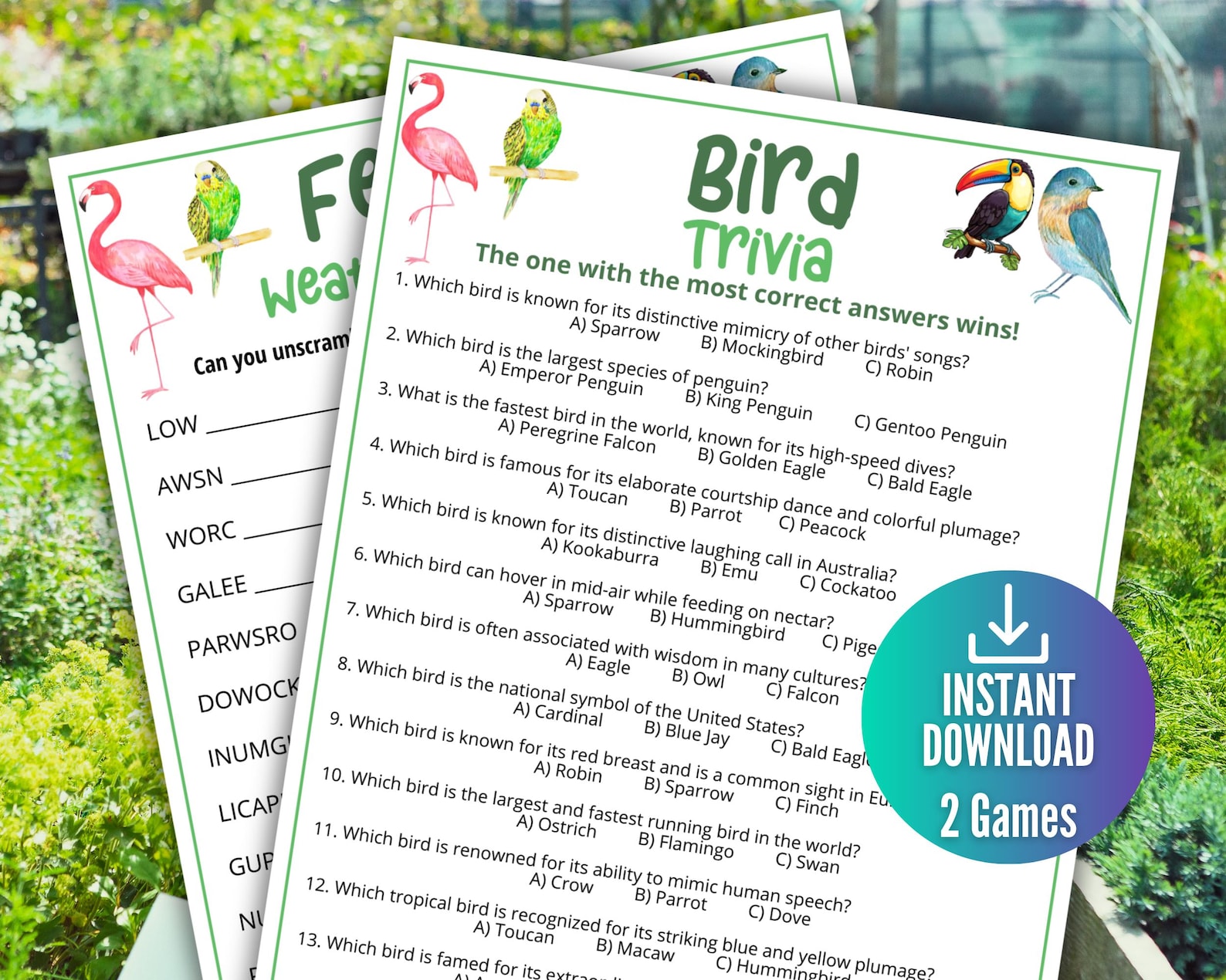 Bird Trivia Game and Word Scramble, Spring Season Quiz, Bird Watching ...