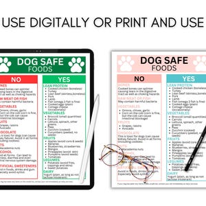 Dog Safe Food List, Safe & Unsafe Food Chart for Puppies and Dogs ...