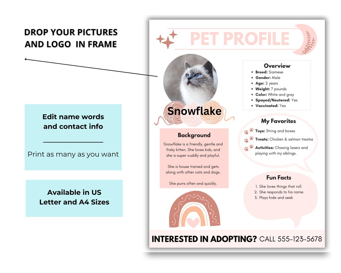 Editable Pet Profile CANVA Template, Cat Adoption Marketing Flyer ...