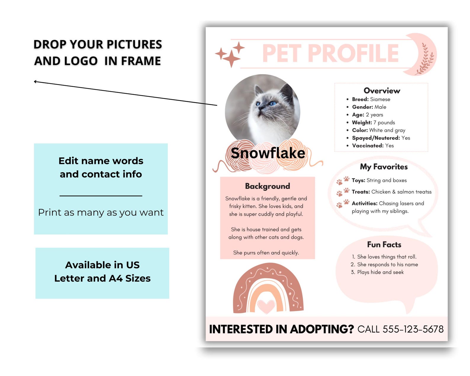 Editable Pet Profile CANVA Template, Cat Adoption Marketing Flyer ...