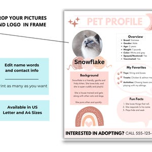 Editable Pet Profile CANVA Template, Cat Adoption Marketing Flyer ...