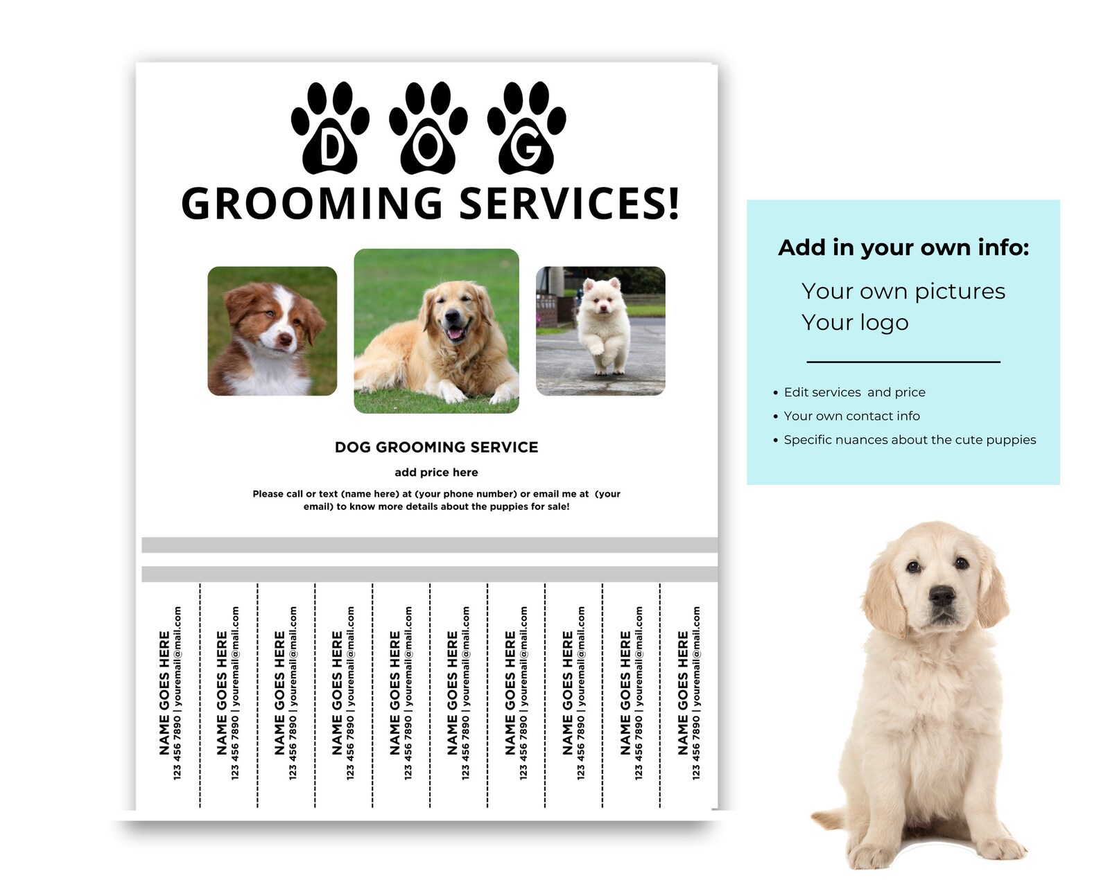 Editable Dog Grooming Marketing Flyer, Dog Groomer Tear off Flyer,dog ...
