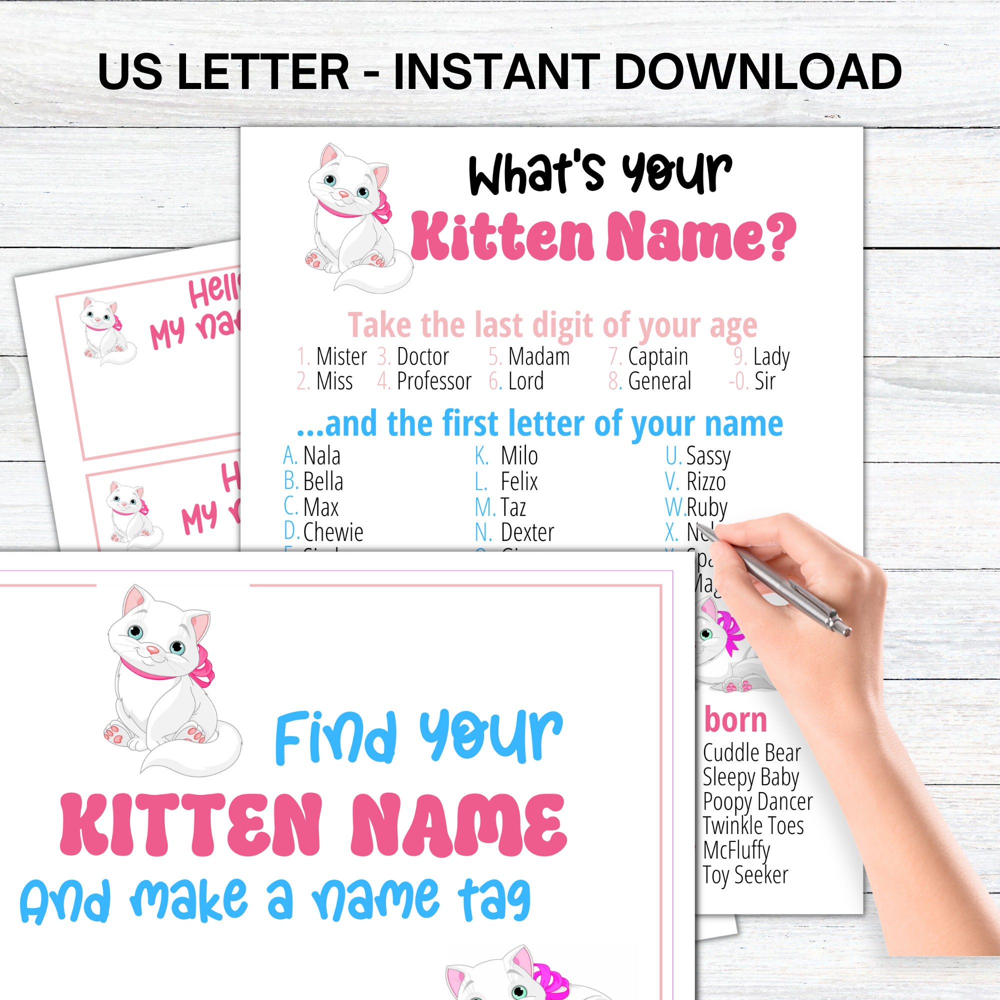 What's Your Kitten Name Game WITH NAMETAGS + SIGN, Kitty Party Game ...