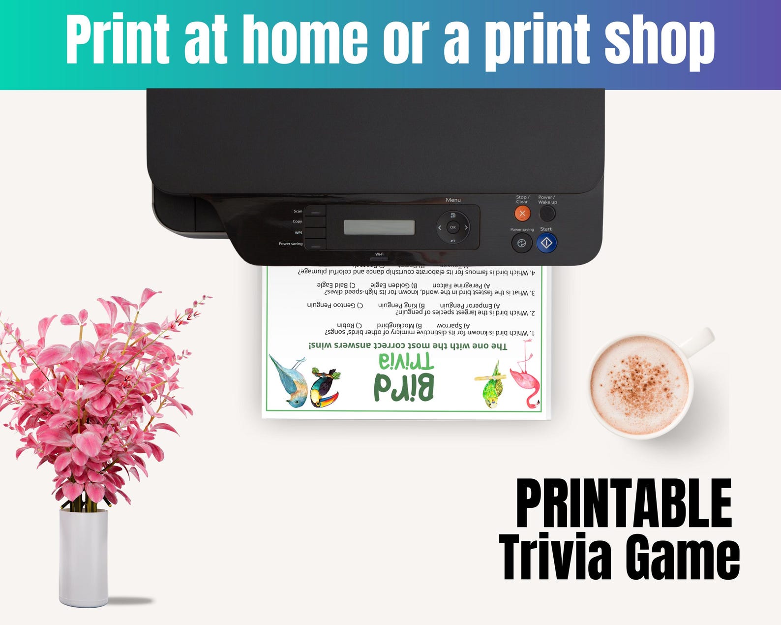 Bird Trivia Game and Word Scramble, Spring Season Quiz, Bird Watching ...