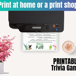 Bird Trivia Game and Word Scramble, Spring Season Quiz, Bird Watching ...