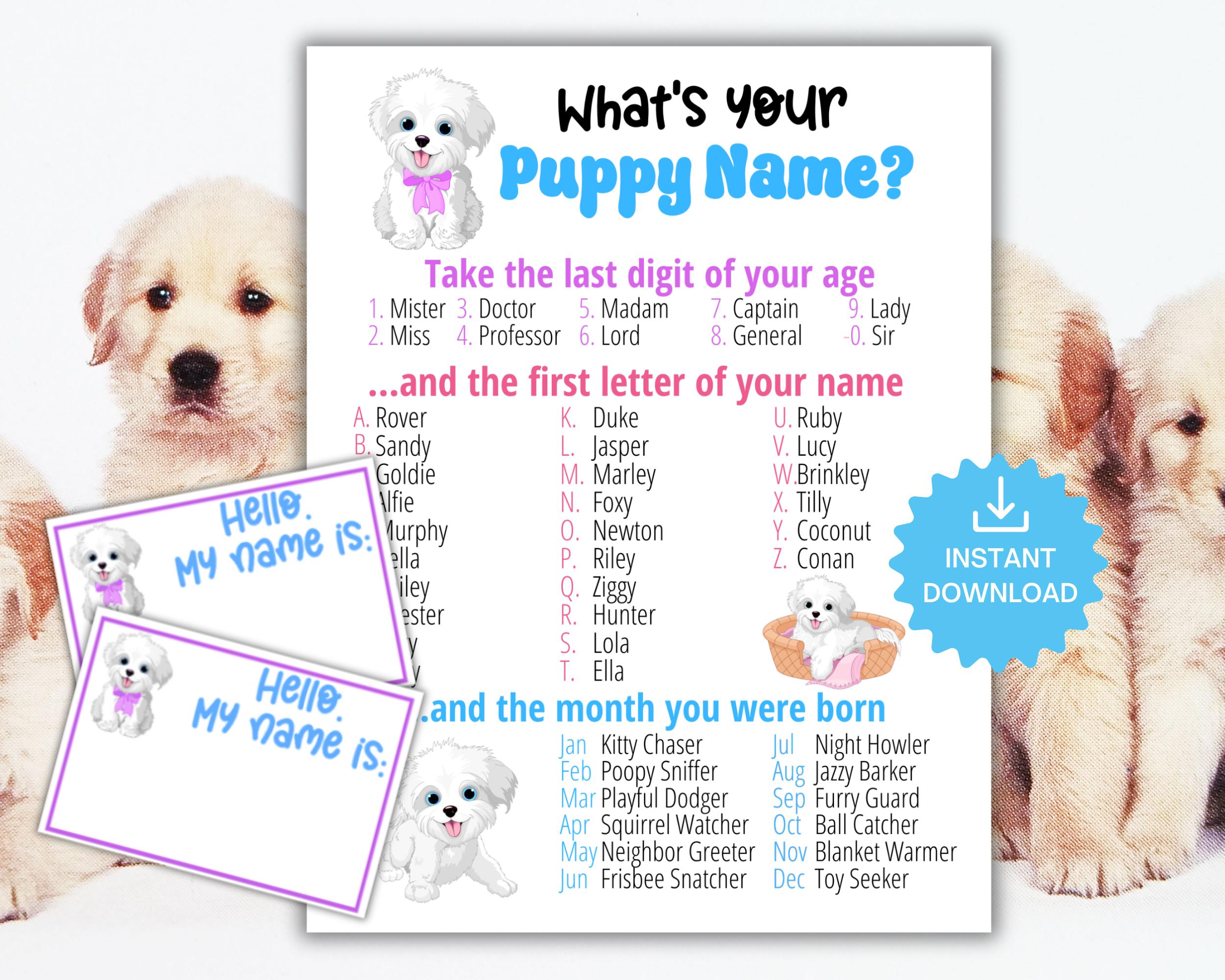 What's Your Puppy Name Game WITH NAMETAGS + SIGN, Puppy Party Game, Dog ...