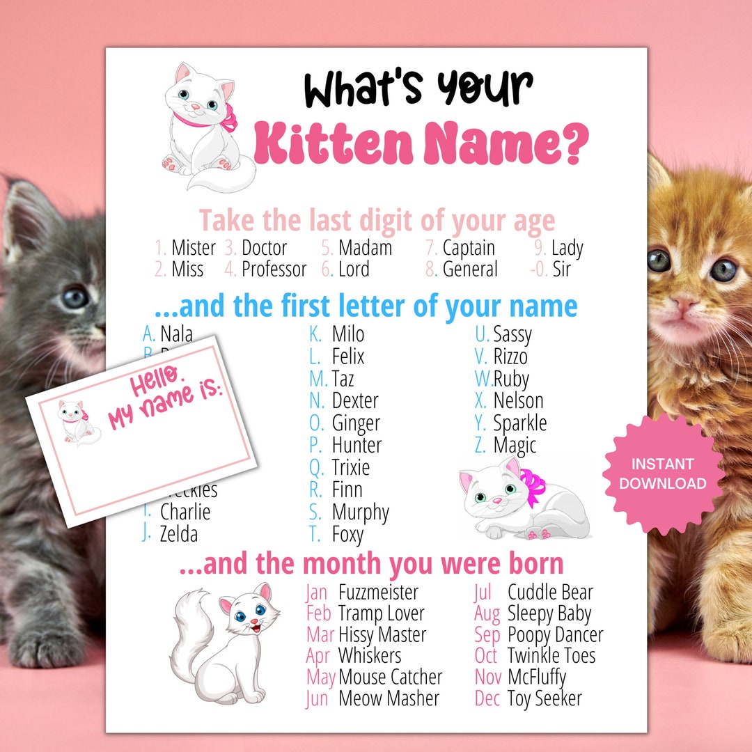 What's Your Kitten Name Game WITH NAMETAGS + SIGN, Kitty Party Game ...