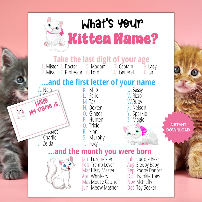 What's Your Kitten Name Game WITH NAMETAGS + SIGN, Kitty Party Game ...