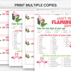 What's Your Flamingo Name Game WITH NAMETAGS + SIGN, Flamingo Baby ...