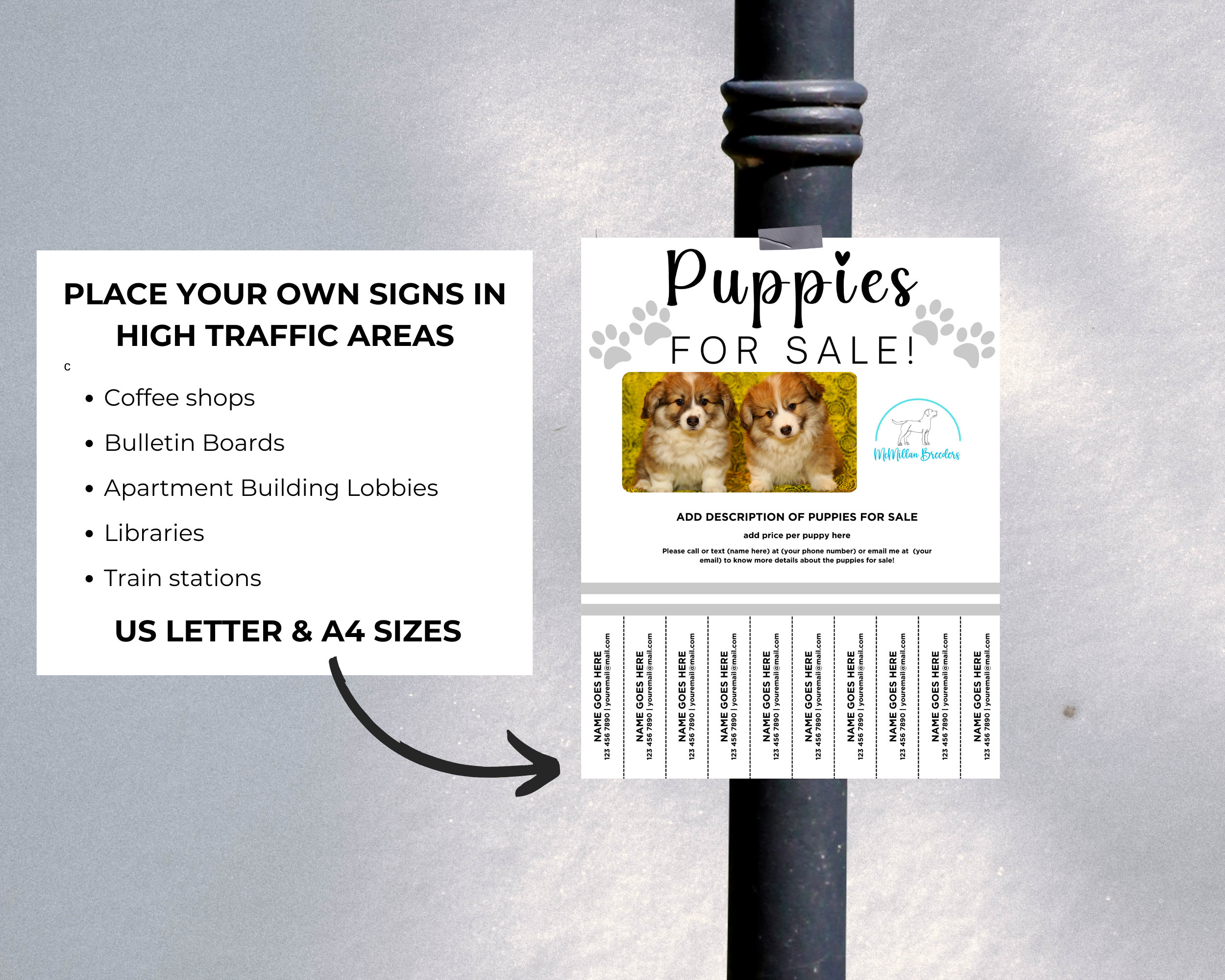 Editable Puppy Marketing Flyer, Dog Adoption Puppy Tear off Flyer ...