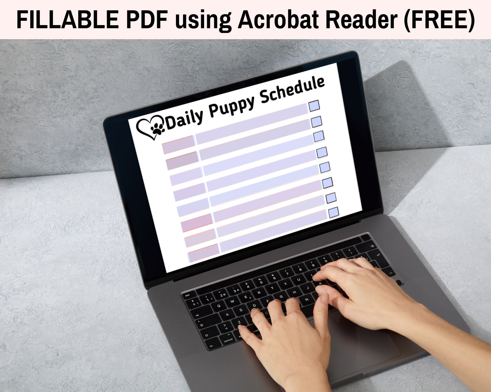 Daily Puppy Schedule - Fillable PDF, Editable Daily Dog Routine Puppy ...