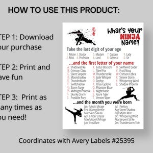 What's Your Ninja Name Game WITH NAMETAGS + SIGN, Ninja Theme Party ...