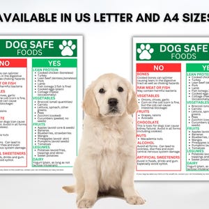 Dog Safe Food List, Safe & Unsafe Food Chart for Puppies and Dogs ...