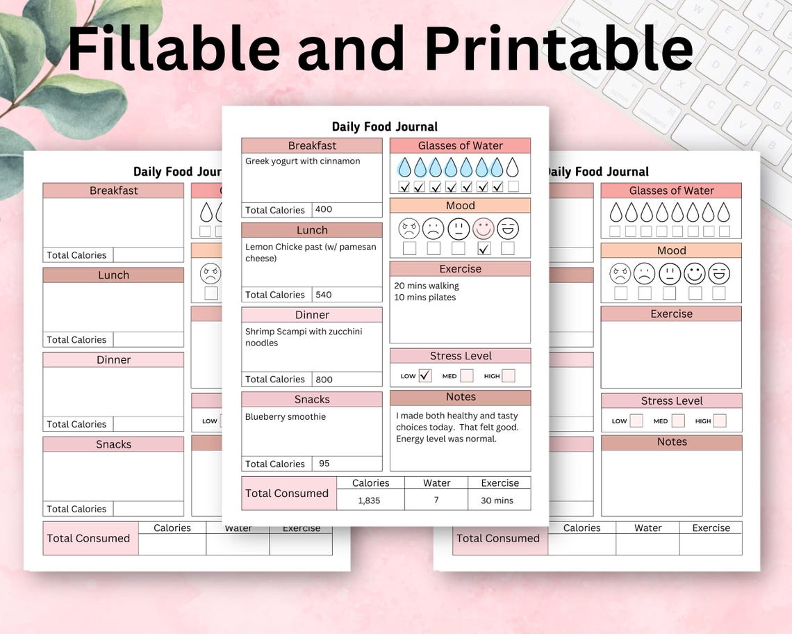 Editable Daily Food Journal, Printable Daily Food Journal, Daily Food ...