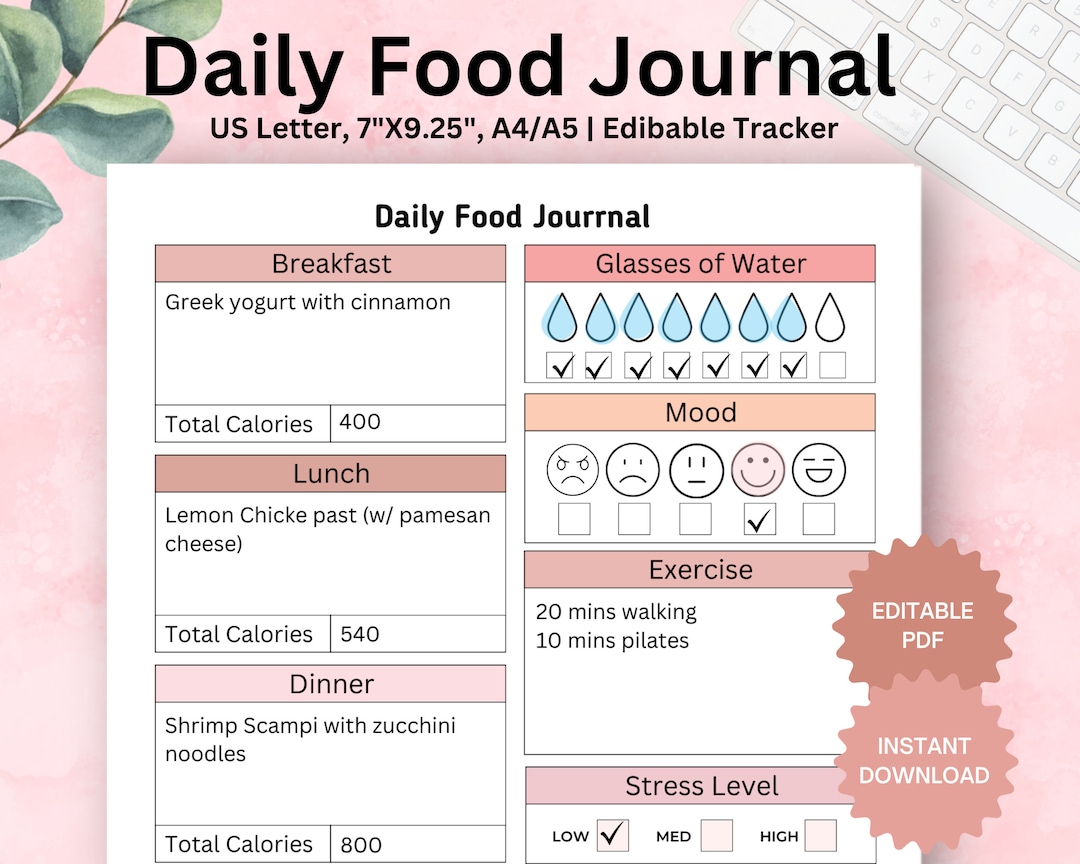 Editable Daily Food Journal, Printable Daily Food Journal, Daily Food ...