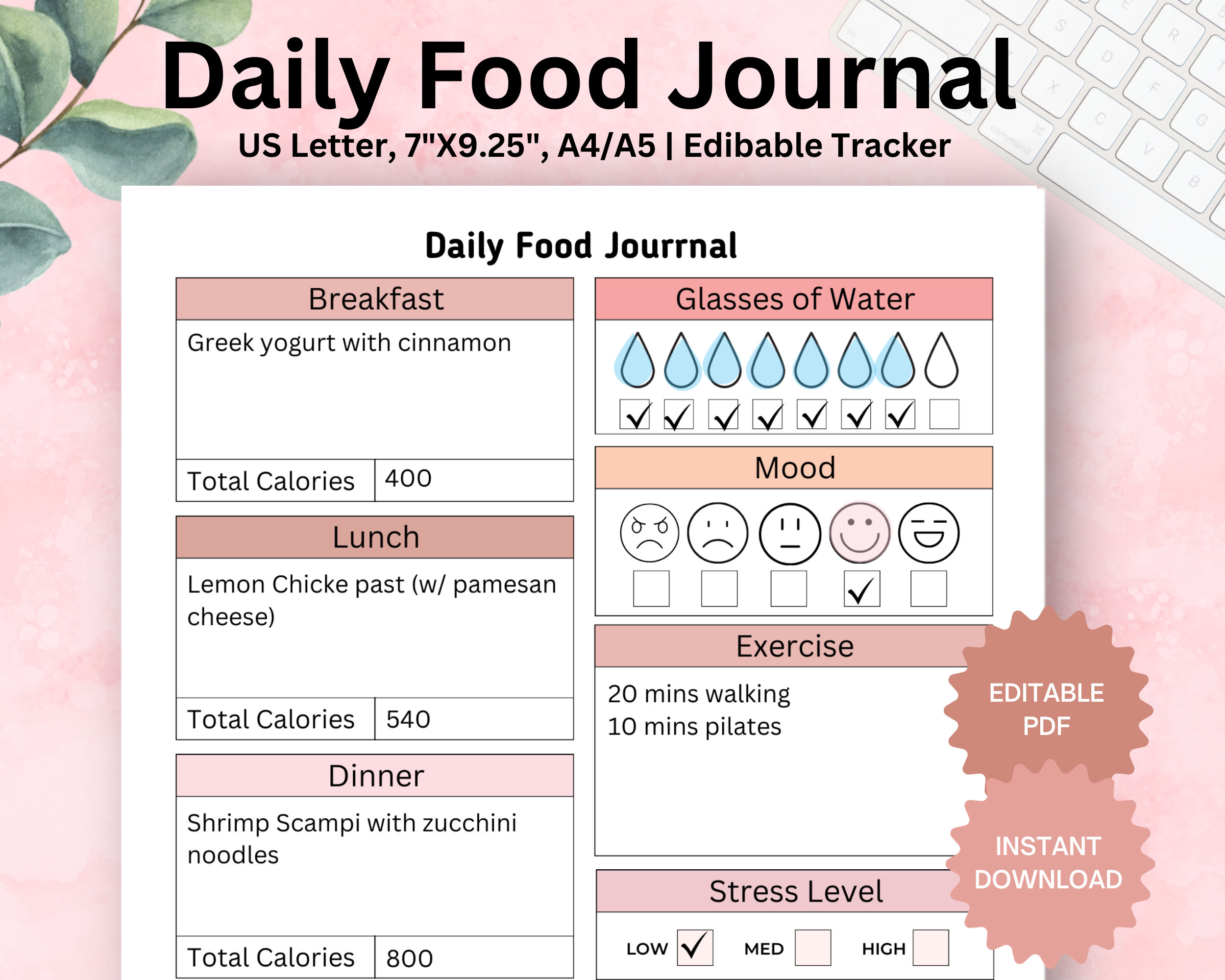 Editable Daily Food Journal, Printable Daily Food Journal, Daily Food ...