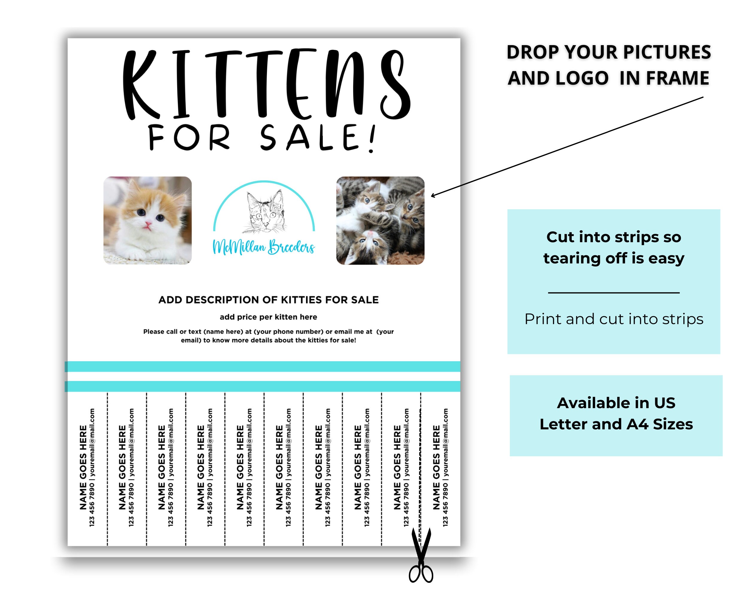 Editable Kitten Marketing Flyer, Cat Adoption Kitty Tear off Flyer ...