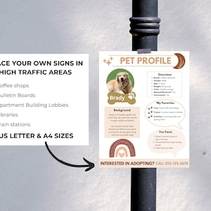 Editable Pet Profile CANVA Template, Dog Adoption Marketing Flyer ...
