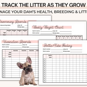 Dog Whelping Records Editable, Dog Breeder Forms, Puppy Whelping Chart ...