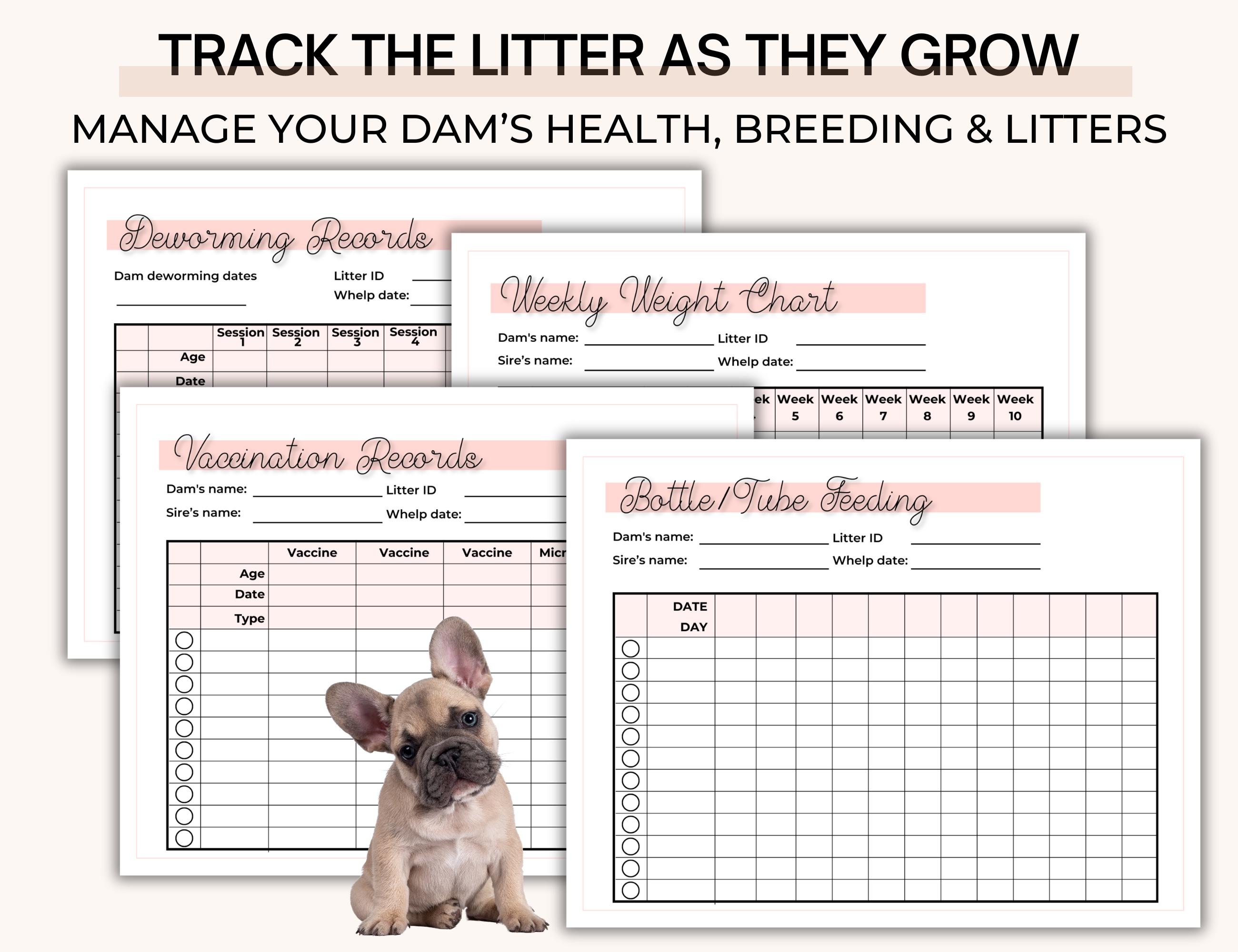 Dog Whelping Records Editable, Dog Breeder Forms, Puppy Whelping Chart ...