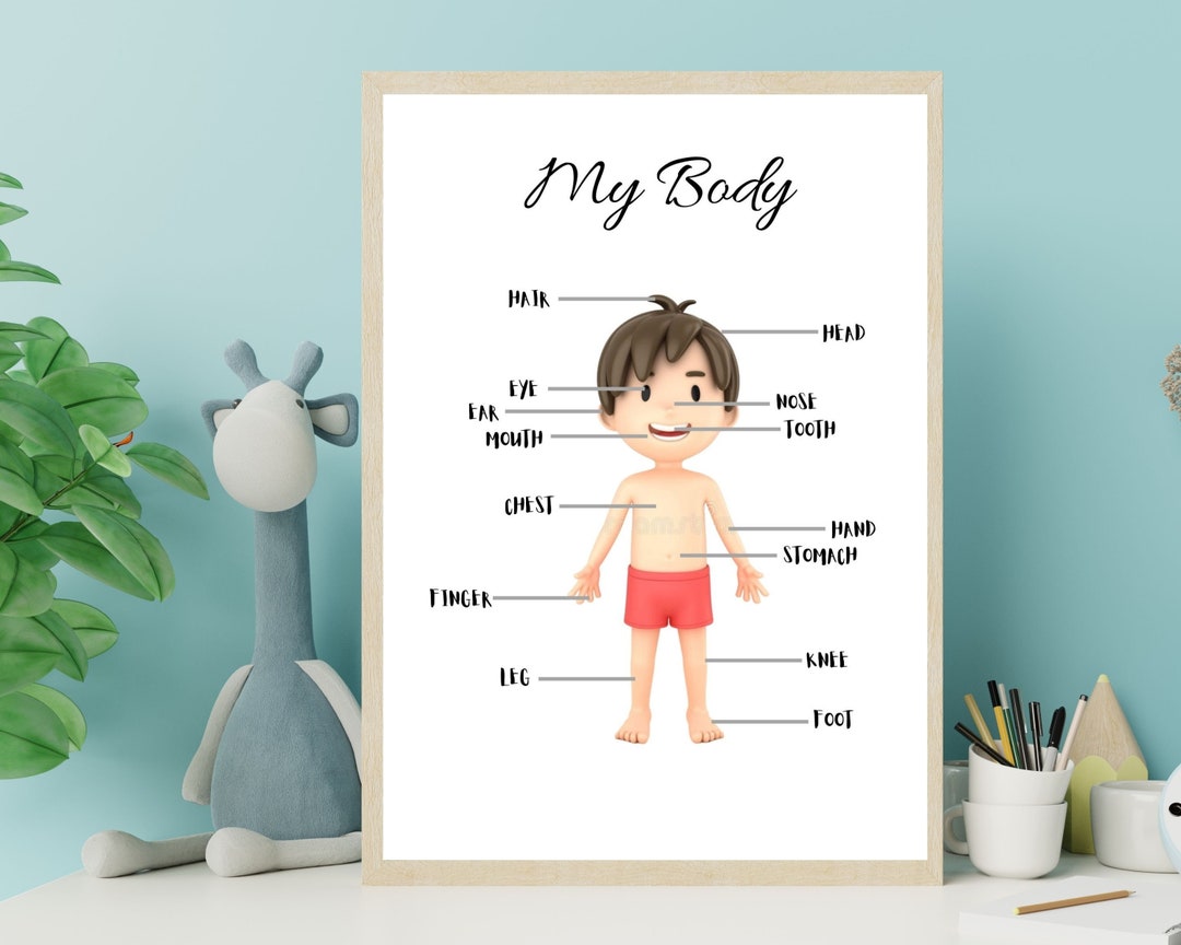 My Body Parts Name Poster 9 Different Size My Body Parts Name Poster ...