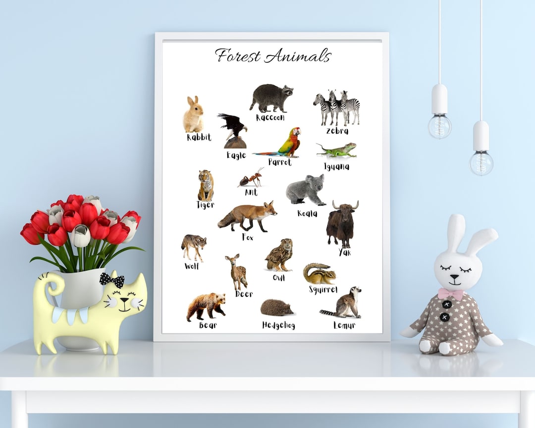 Animal Poster Pdf Printable Poster Preschool Forest Animal Poster ...