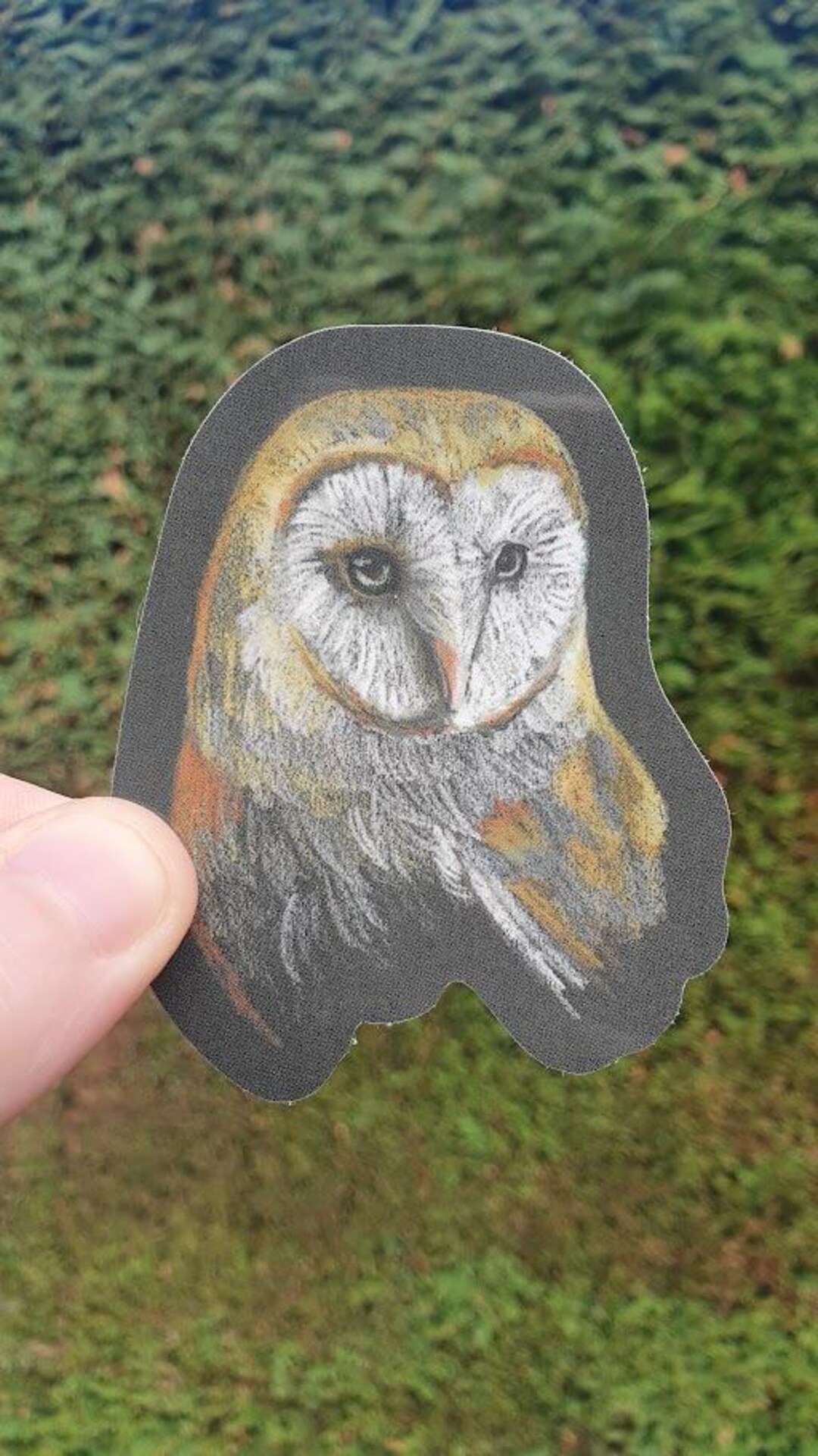 Barn Owl Sticker - Bird Art Vinyl Sticker Black Background - Etsy
